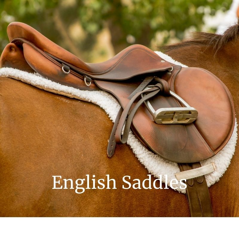 English Saddles – Horse Saddle Seeker